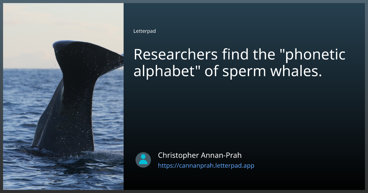 Researchers find the "phonetic alphabet" of sperm whales. | by ...